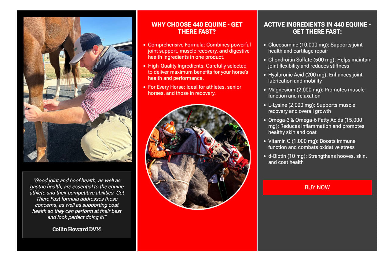 Get There Fast — Fuel Your Horse’s Health | 440 Equine